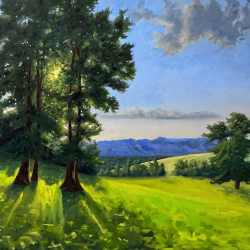 Aykan Seper 14429 | Sanat Müzayede